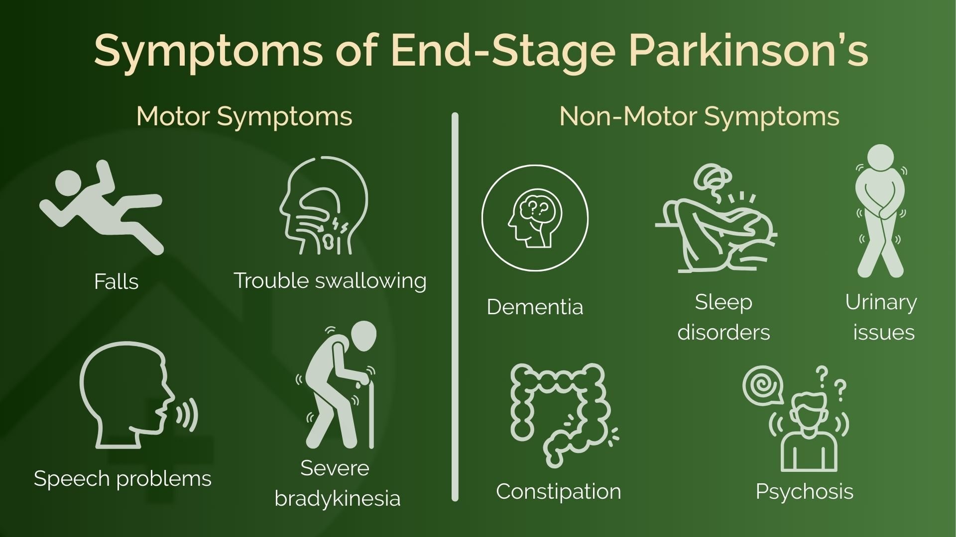 Understanding End-Stage Parkinson's Hospice Criteria